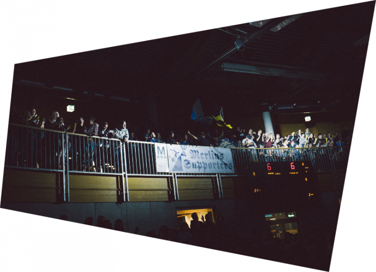 Tickets - HAKRO Merlins